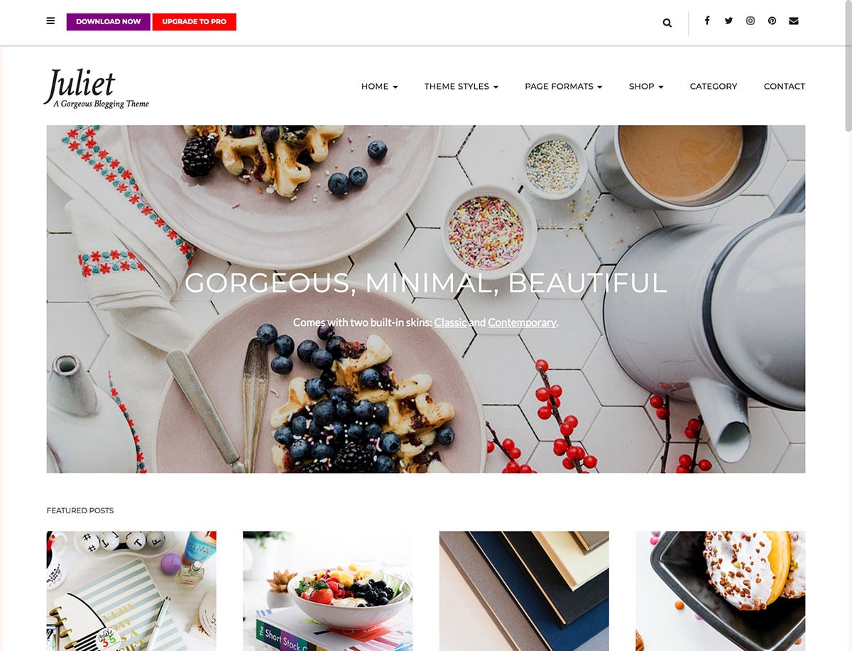 Free Powerful WordPress Blogging Themes You Won't Miss in 2020 ...